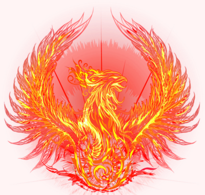 My Portfolio - Islam Badawy